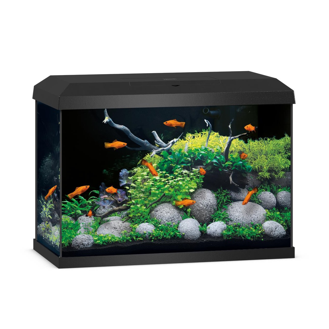 Juwel Primo LED 2.0 aquarium