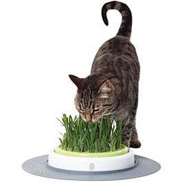 Kassimuru + kauss Catit Design Senses Grass Garden Kit