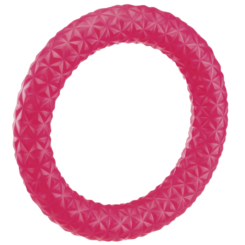 Dog toy Pull Max 07 ø 26,5 x 4,2 cm red